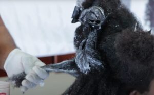 How Much Does a Perm Typically Cost in the US?